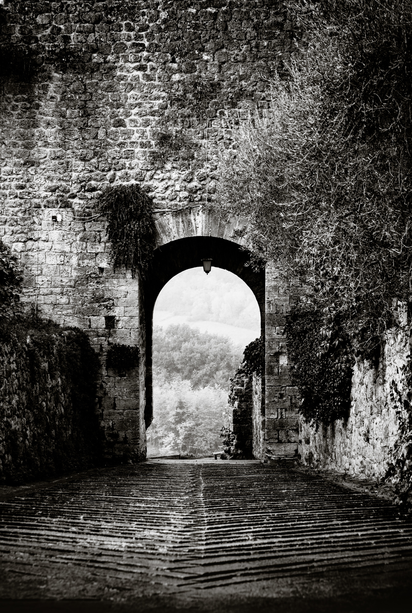 Alex Nyerges - San Gimignano, 2019 - Reynolds Gallery